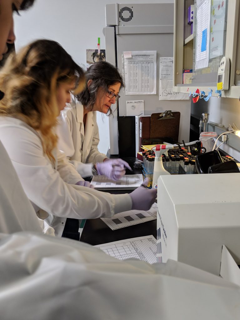 HCPS Students Attend Hispanic Educational Summit – Henderson County ...